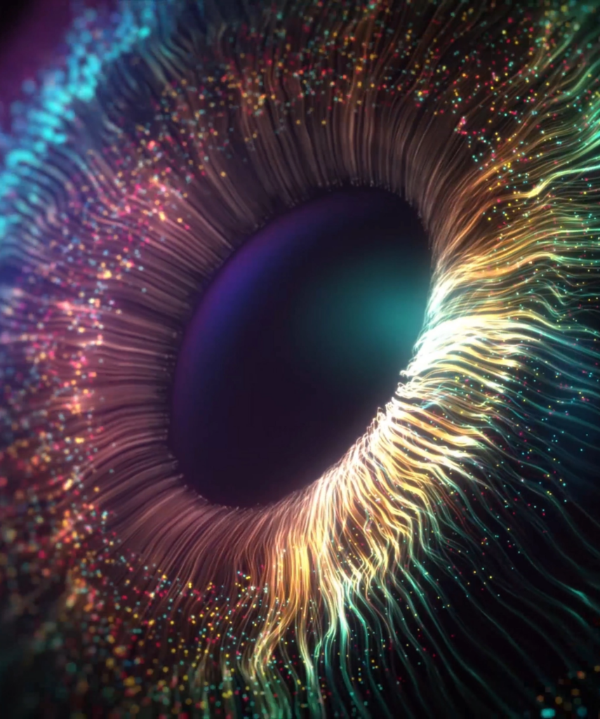 Projects – DACC Europe